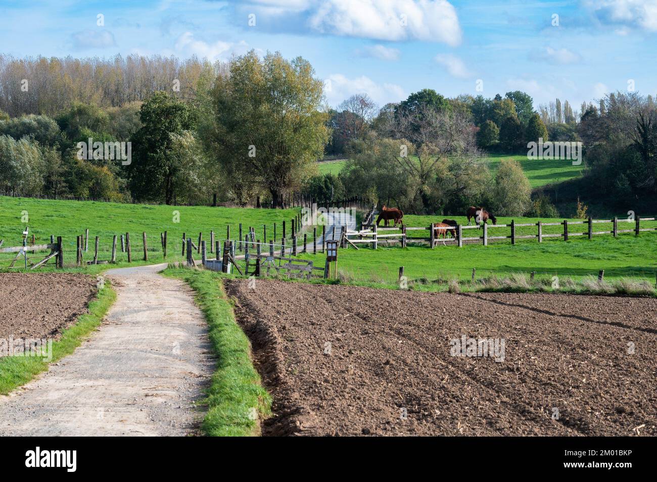 Walking trail through the fields of the Flemish countryside around Asse ...