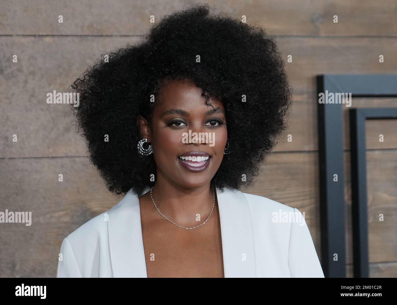 Los Angeles, USA. 02nd Dec, 2022. Novi Brown arrives at the Paramount+ ...