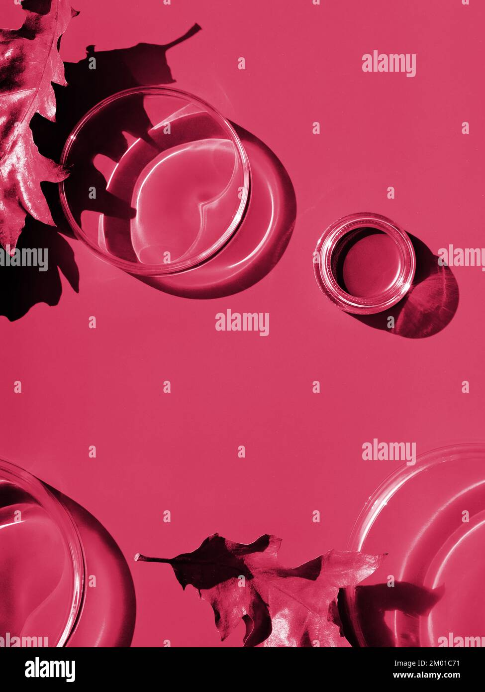 toned monochrome cosmetics image in Viva Magenta color of the year 2023 ...