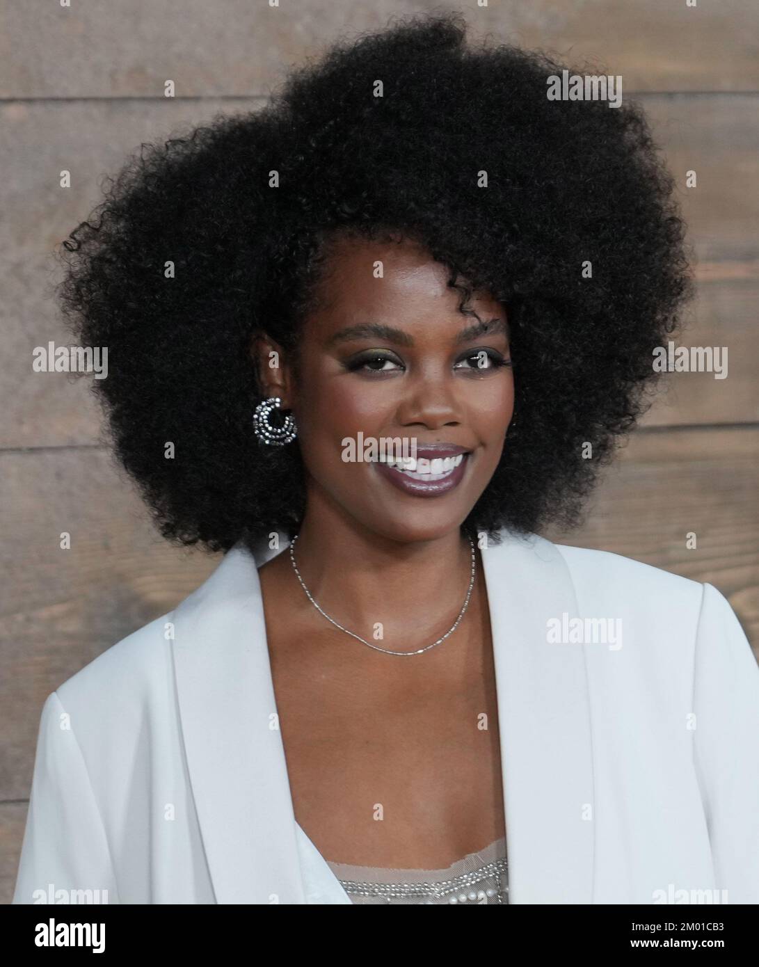 Los Angeles, USA. 02nd Dec, 2022. Novi Brown arrives at the Paramount ...
