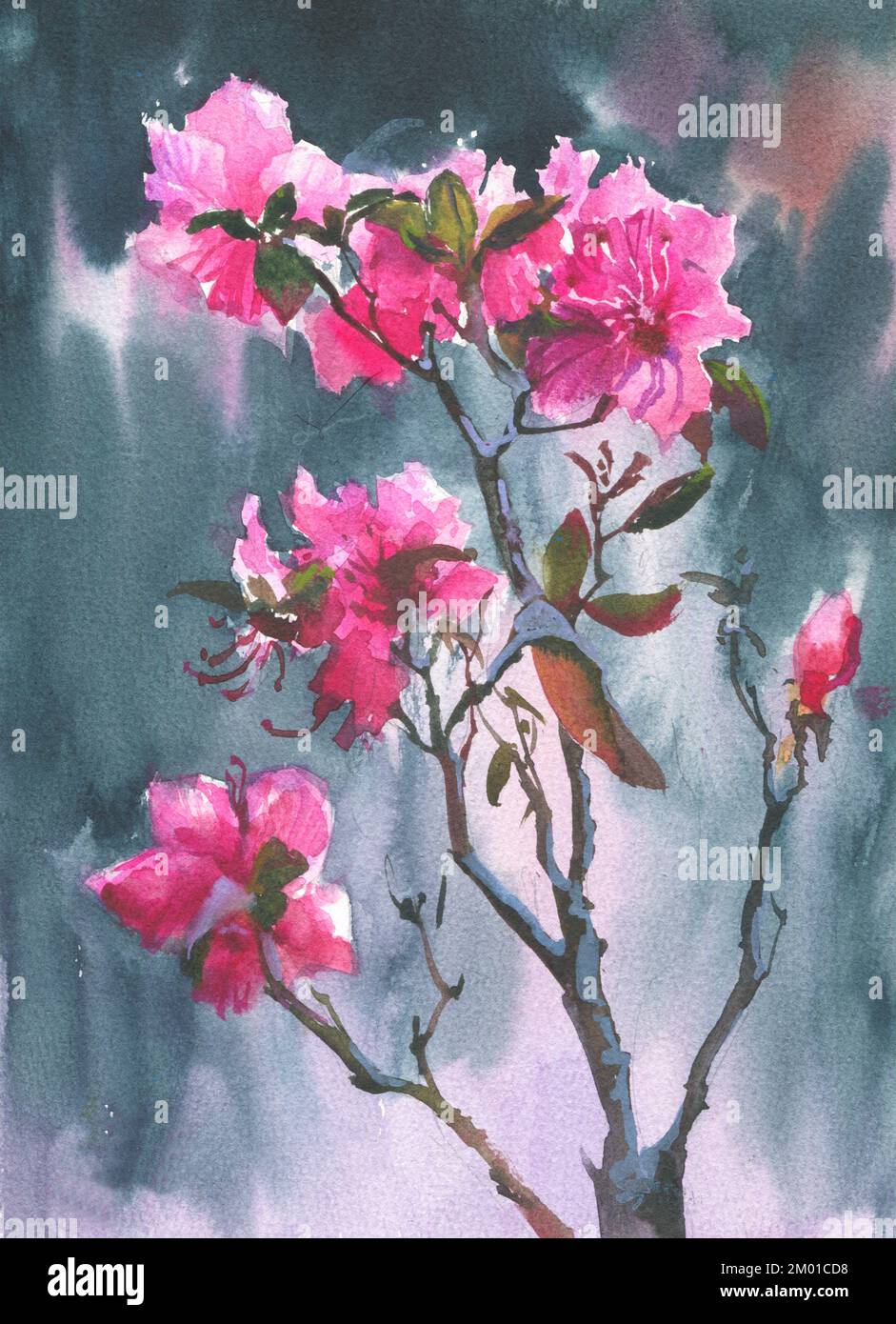 Flowering pink branch in spring watercolor background. Spring landscape ...