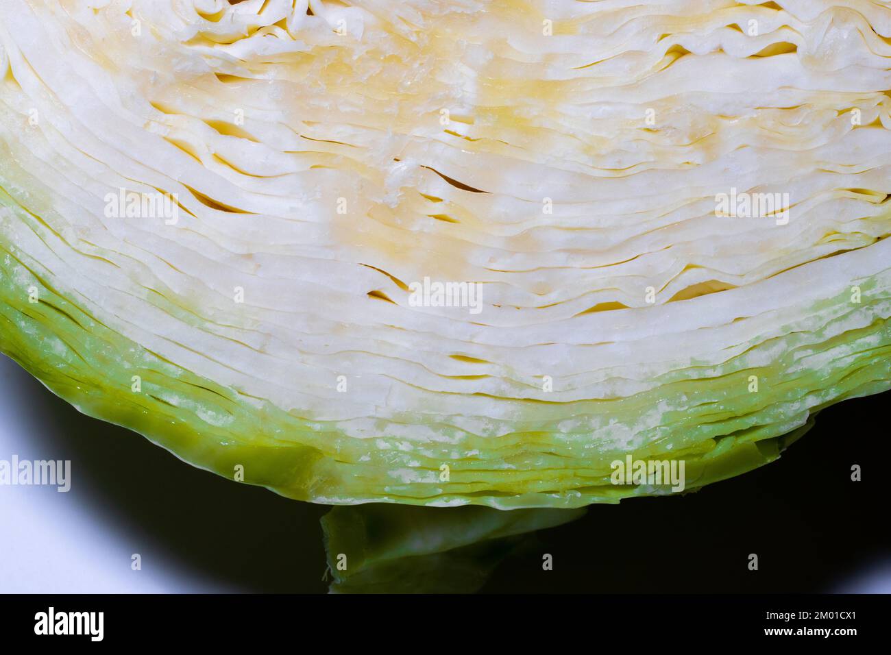 Cabbage segments hi-res stock photography and images - Alamy