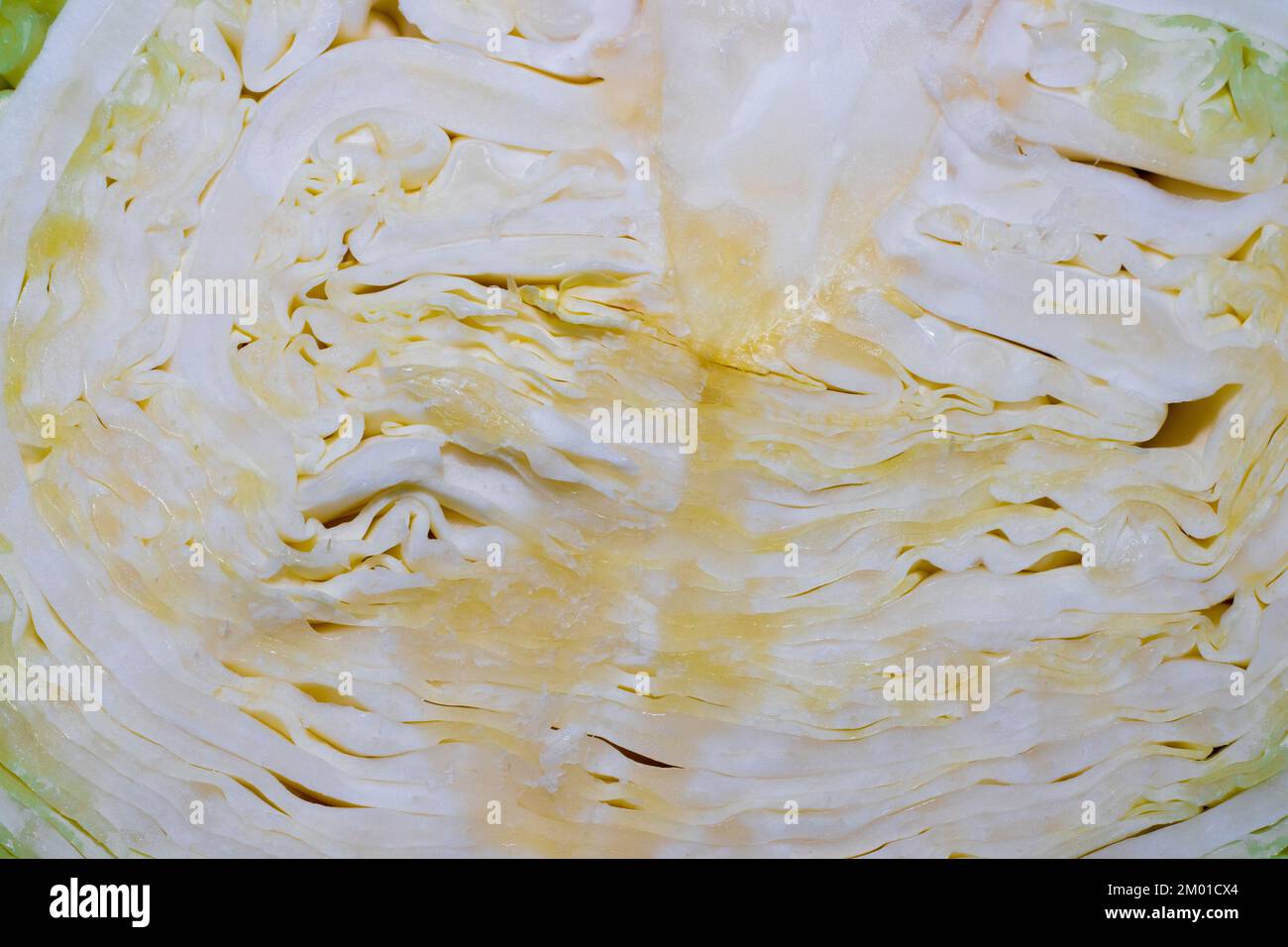 Cabbage segments hi-res stock photography and images - Alamy