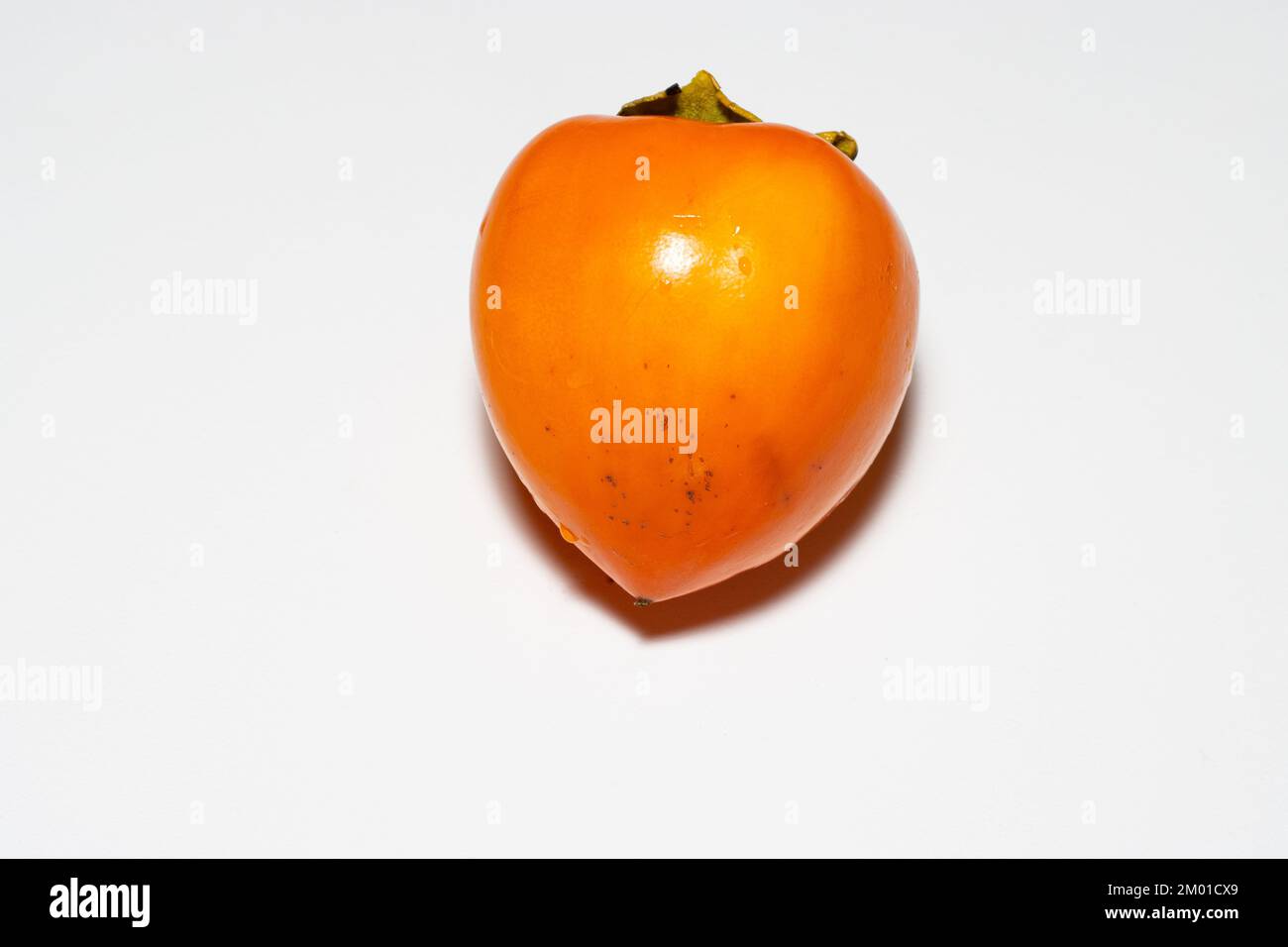 Goldcrest fruit hi-res stock photography and images - Alamy