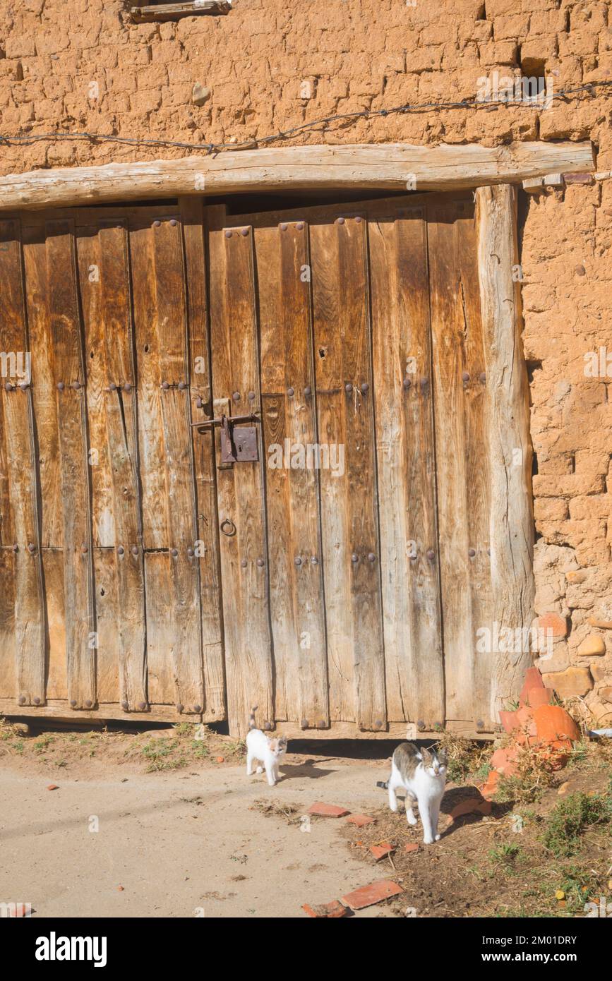 Cat Door Baby Gate Hi Res Stock Photography And Images Alamy
