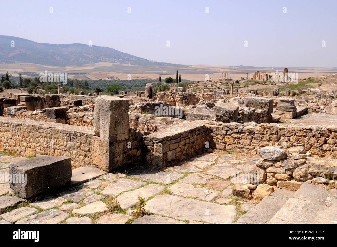 Berber roman hi-res stock photography and images - Alamy