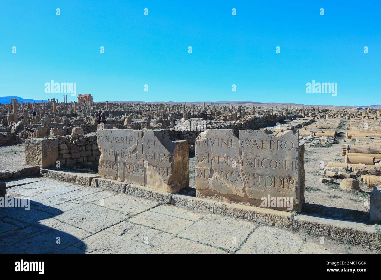 View to the Ruins of an Ancient Roman city Timgad also known as ...