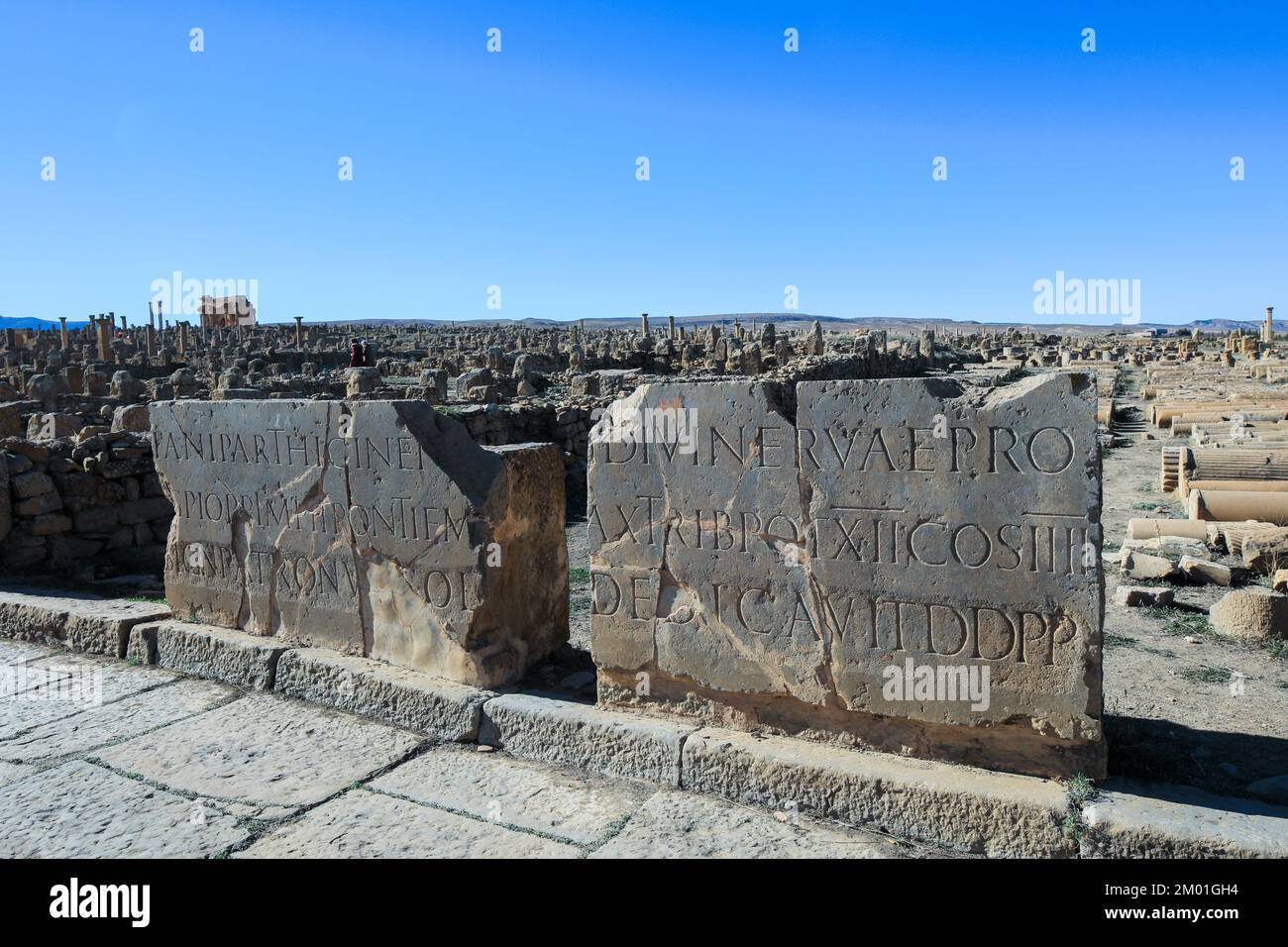View to the Ruins of an Ancient Roman city Timgad also known as ...
