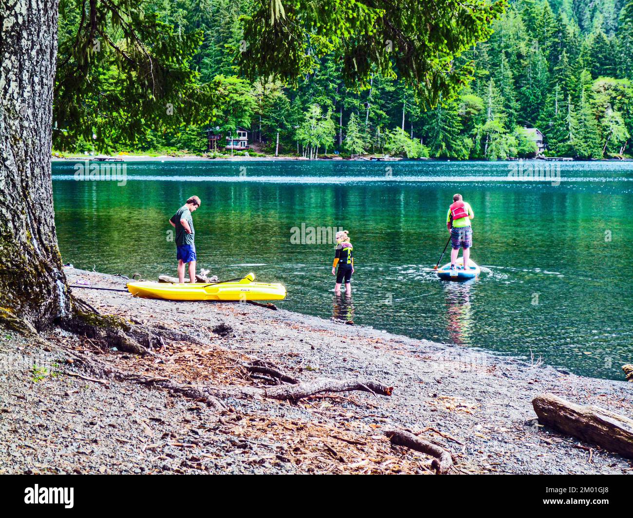 Usa within olympic national park hi-res stock photography and images ...