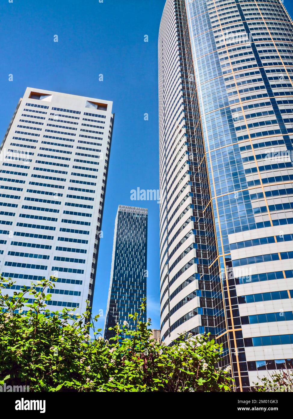 High-rise buildings in downtown Seattle, Washington Stock Photo - Alamy