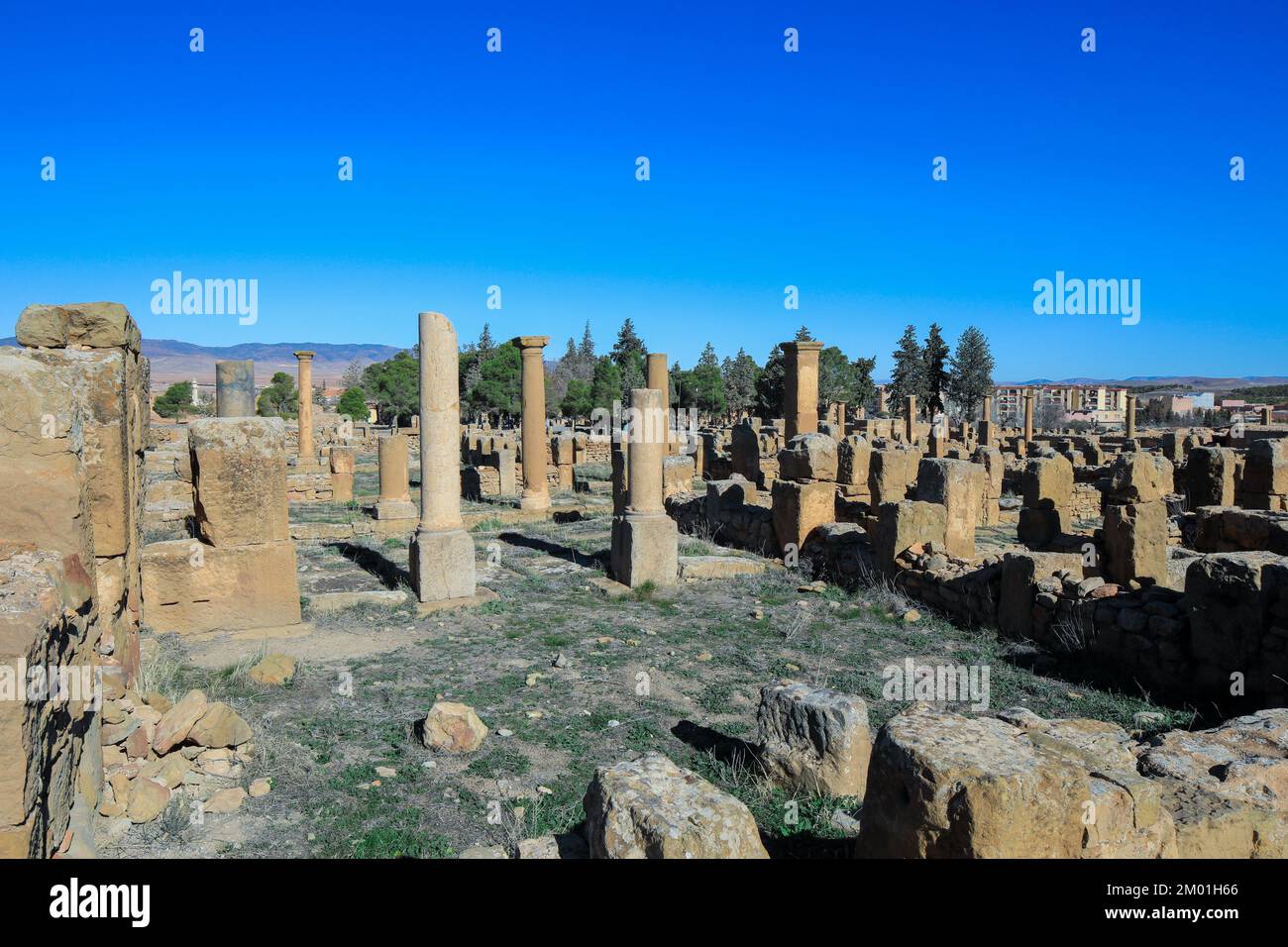 View to the Ruins of an Ancient Roman city Timgad also known as ...