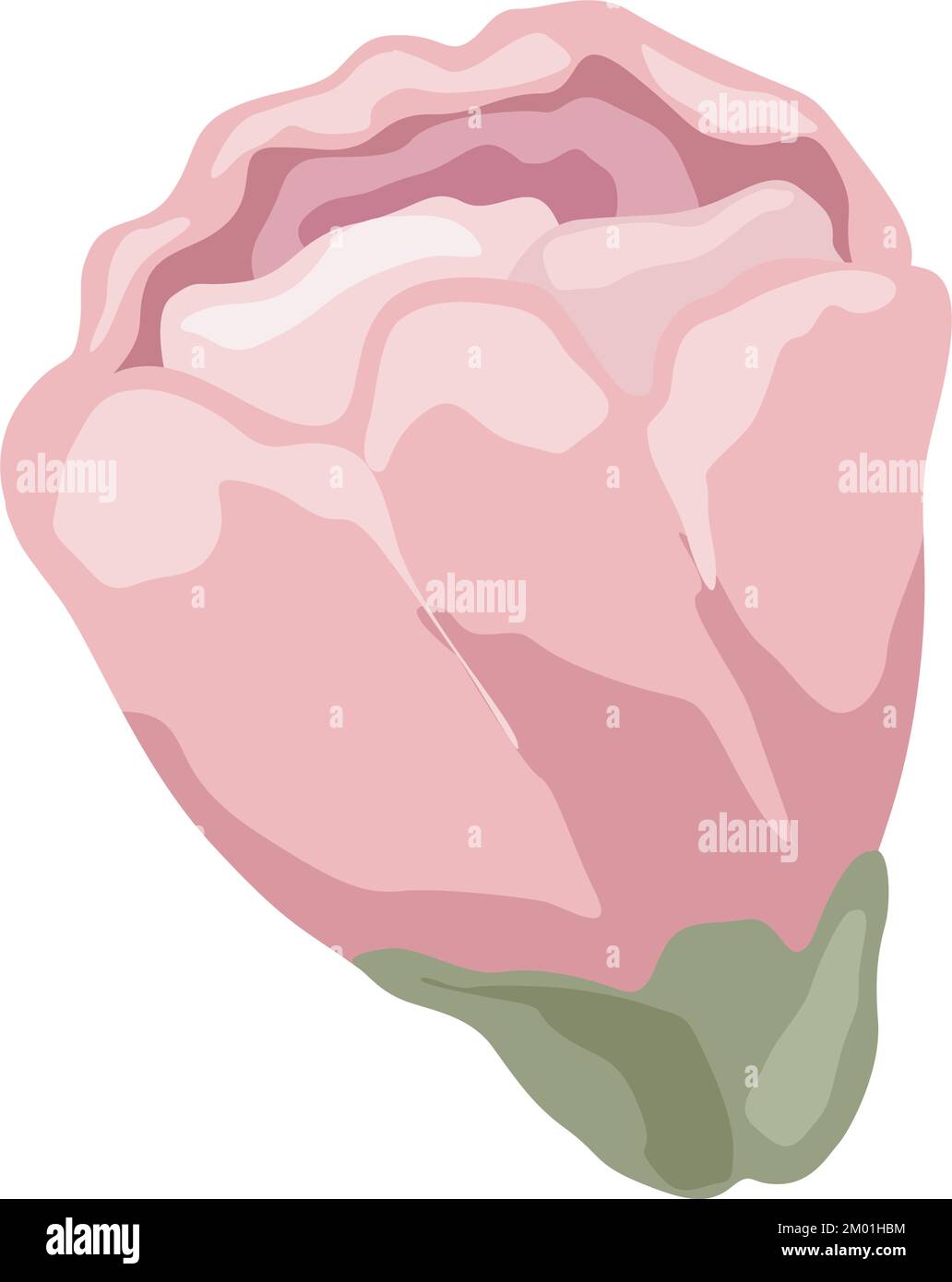 pink rose flower garden Stock Vector Image & Art - Alamy