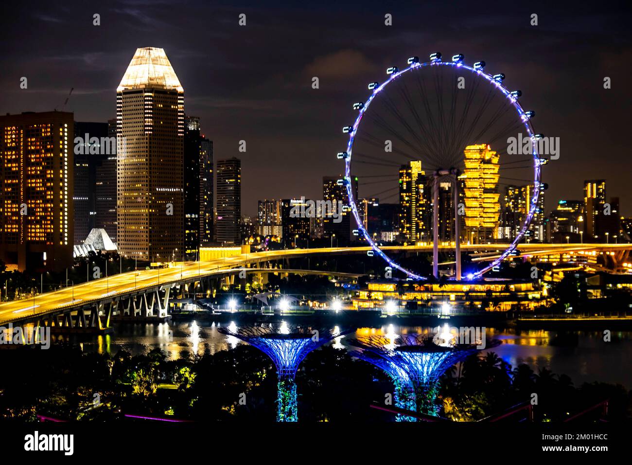 Singapore Flyer ferris wheel at night in Singapore, Asia Stock Photo ...