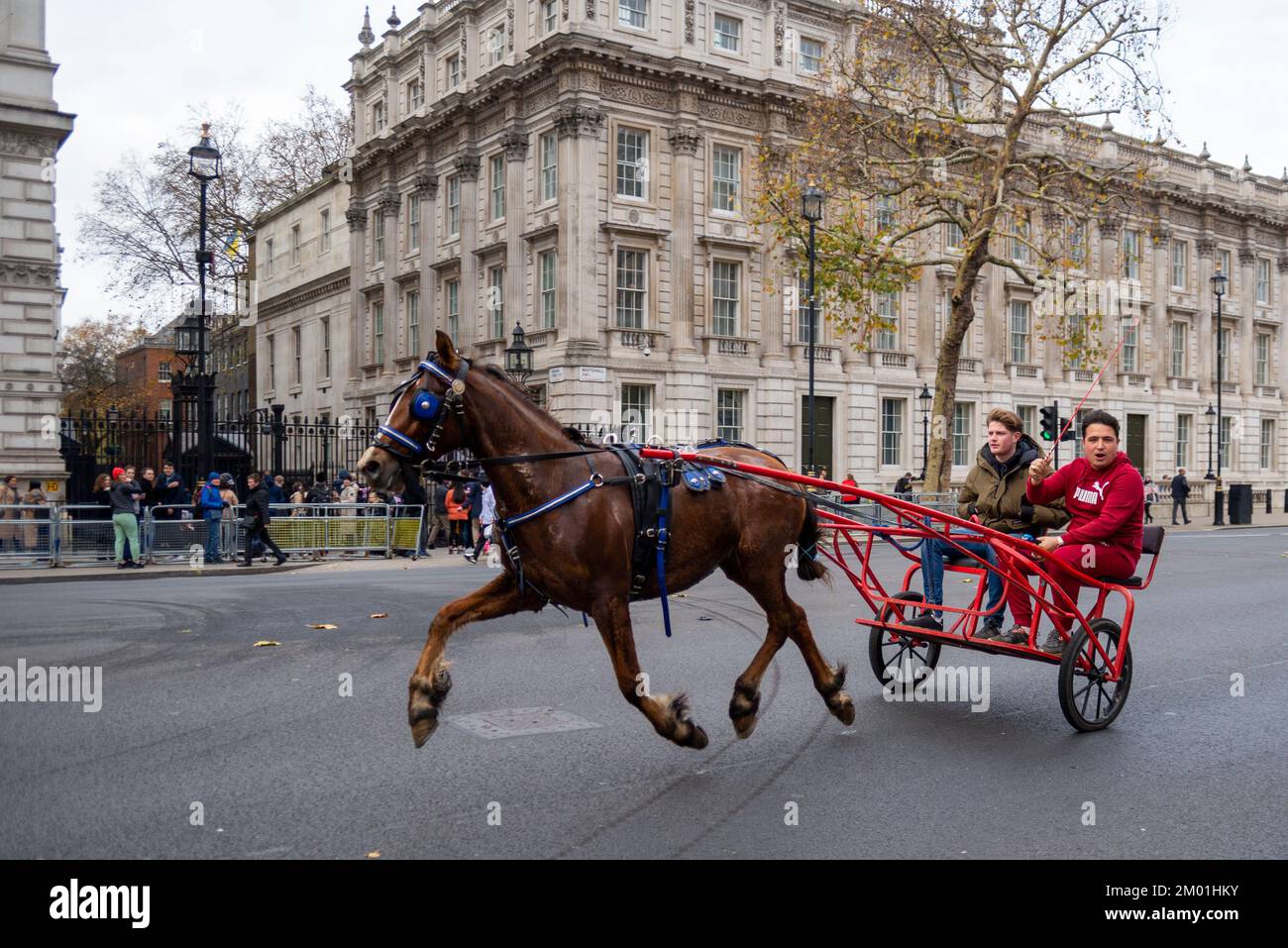 Whitehall, Westminster, London, UK. 3rd Dec, 2022. A number of pony and ...