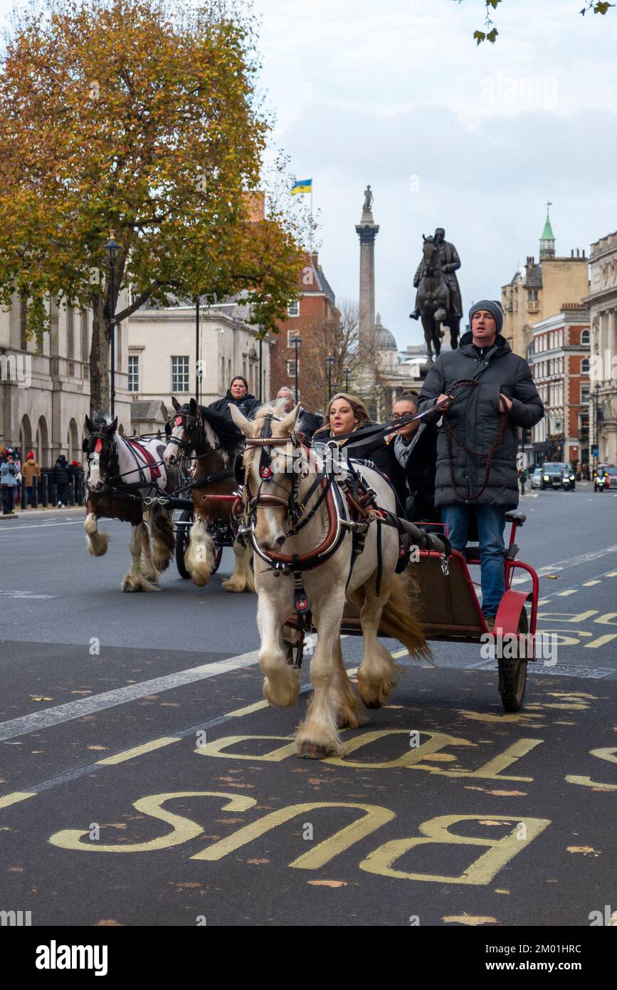 Whitehall, Westminster, London, UK. 3rd Dec, 2022. A number of pony and ...