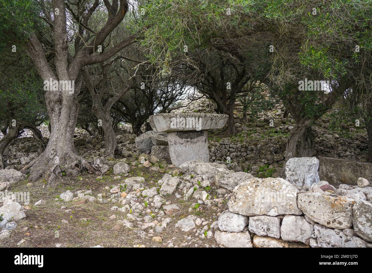 Megalithic stone monuments hi-res stock photography and images - Alamy