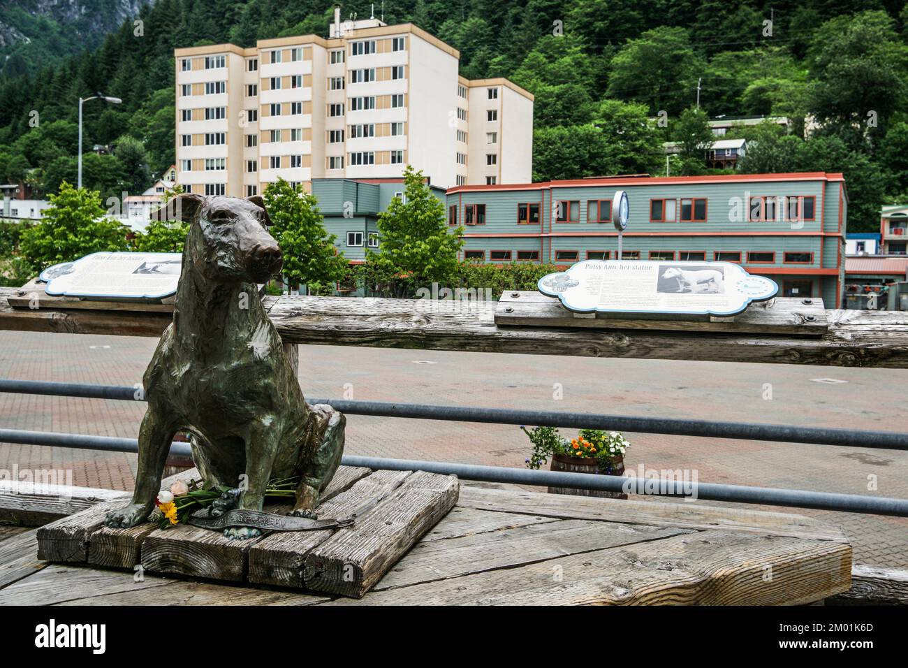 Bronze sculpture of Patsy Ann. Juneau, Alaska, United States of America ...