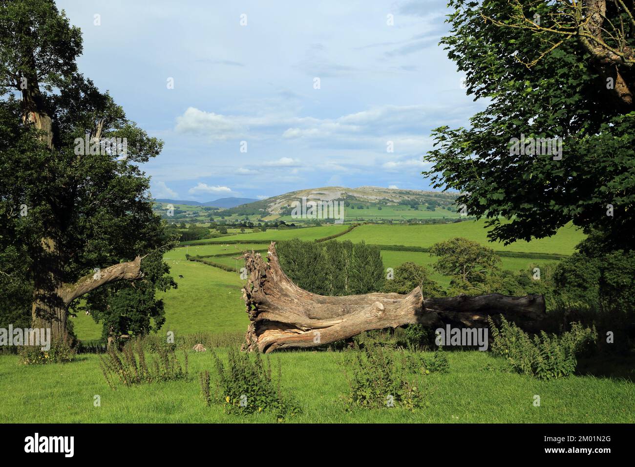 Dallam towers hi-res stock photography and images - Alamy