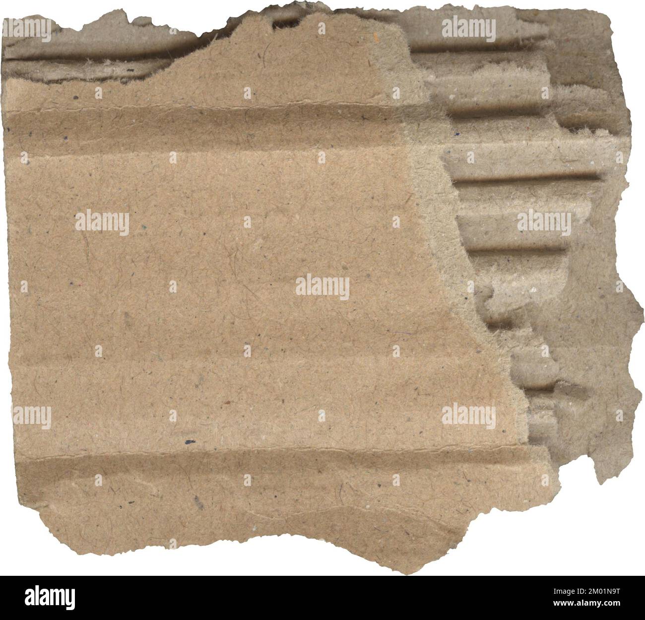 Torn cardboard textures, a piece of cardboard papers Stock Photo - Alamy