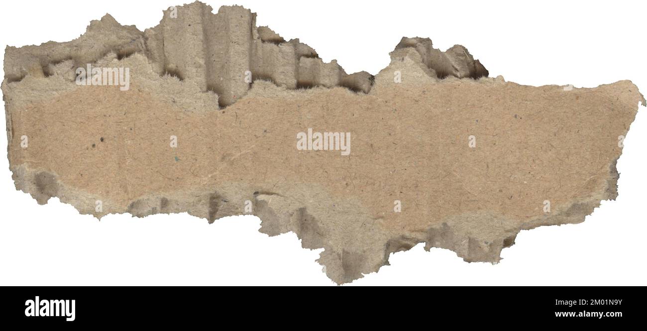 Torn cardboard textures, a piece of cardboard papers Stock Photo - Alamy