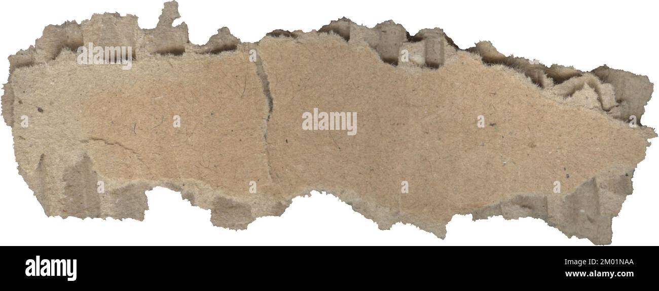 Torn cardboard textures, a piece of cardboard papers Stock Photo - Alamy