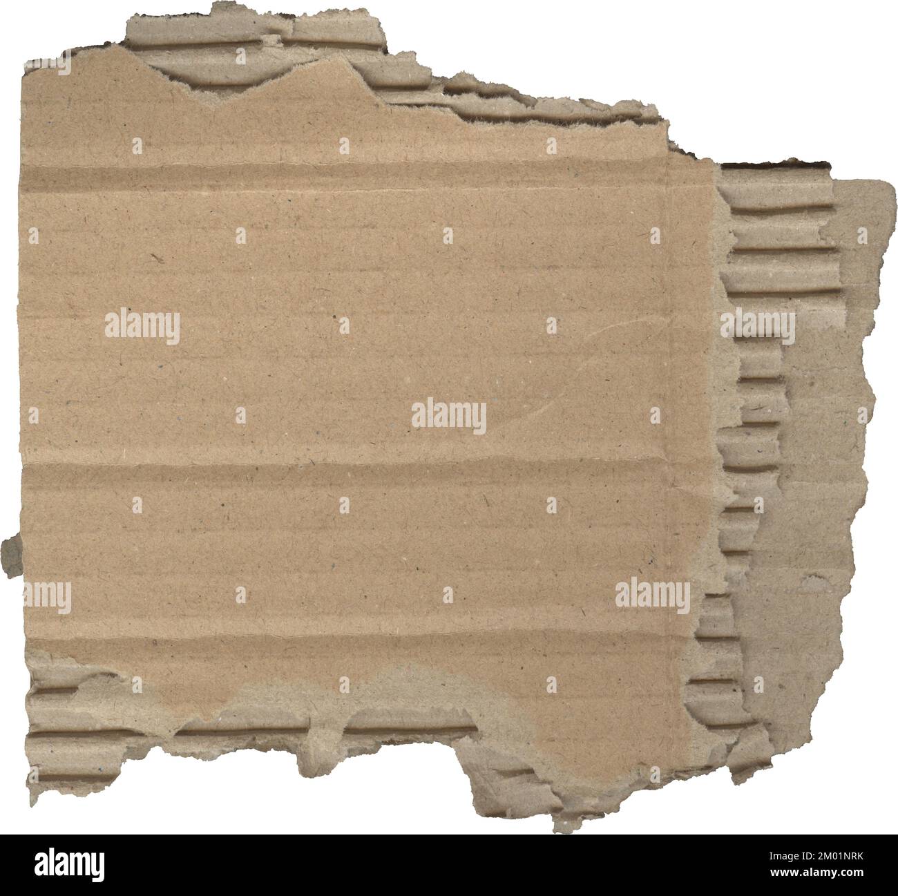 Torn cardboard textures, a piece of cardboard papers Stock Photo - Alamy
