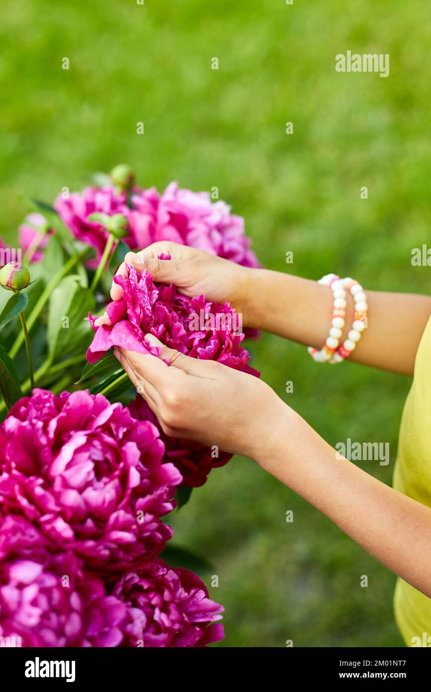 Little girl in the garden in bushes of peonies, child touch the flower ...