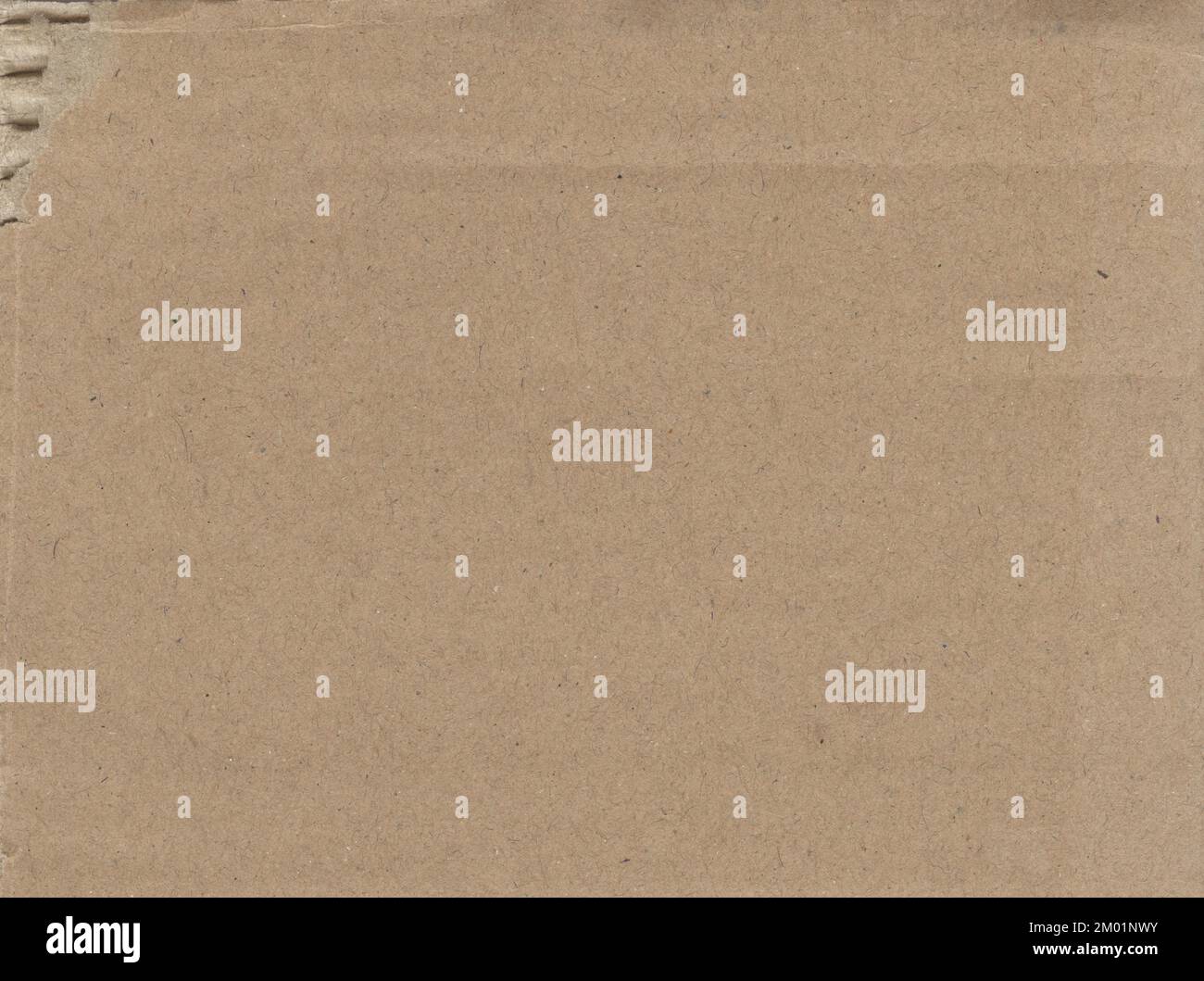 Torn cardboard textures, a piece of cardboard papers Stock Photo - Alamy