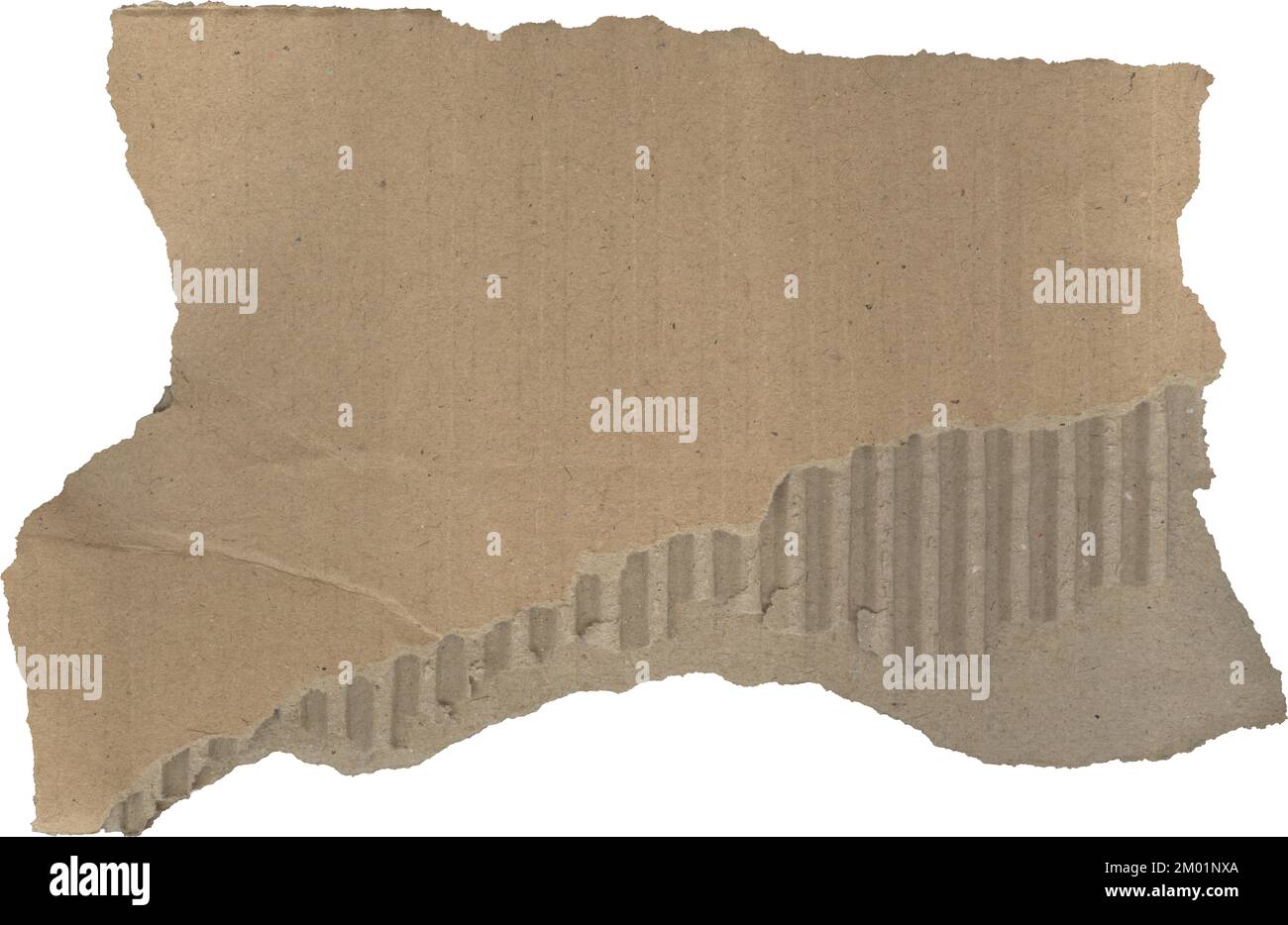 Torn cardboard textures, a piece of cardboard papers Stock Photo - Alamy