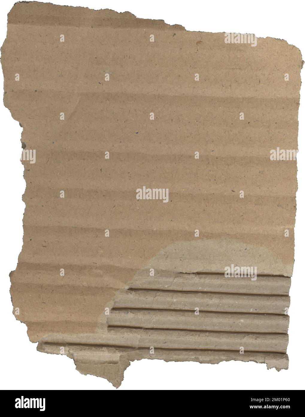 Torn cardboard textures, a piece of cardboard papers Stock Photo - Alamy