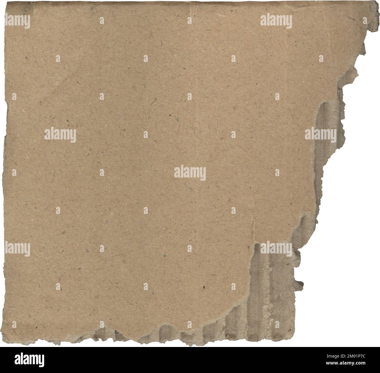 Torn cardboard textures, a piece of cardboard papers Stock Photo - Alamy