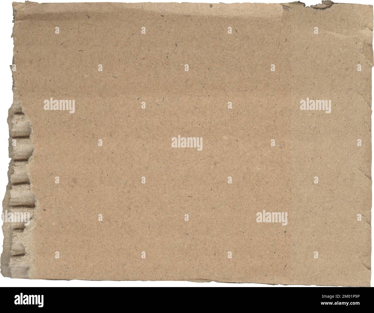 Torn cardboard textures, a piece of cardboard papers Stock Photo - Alamy