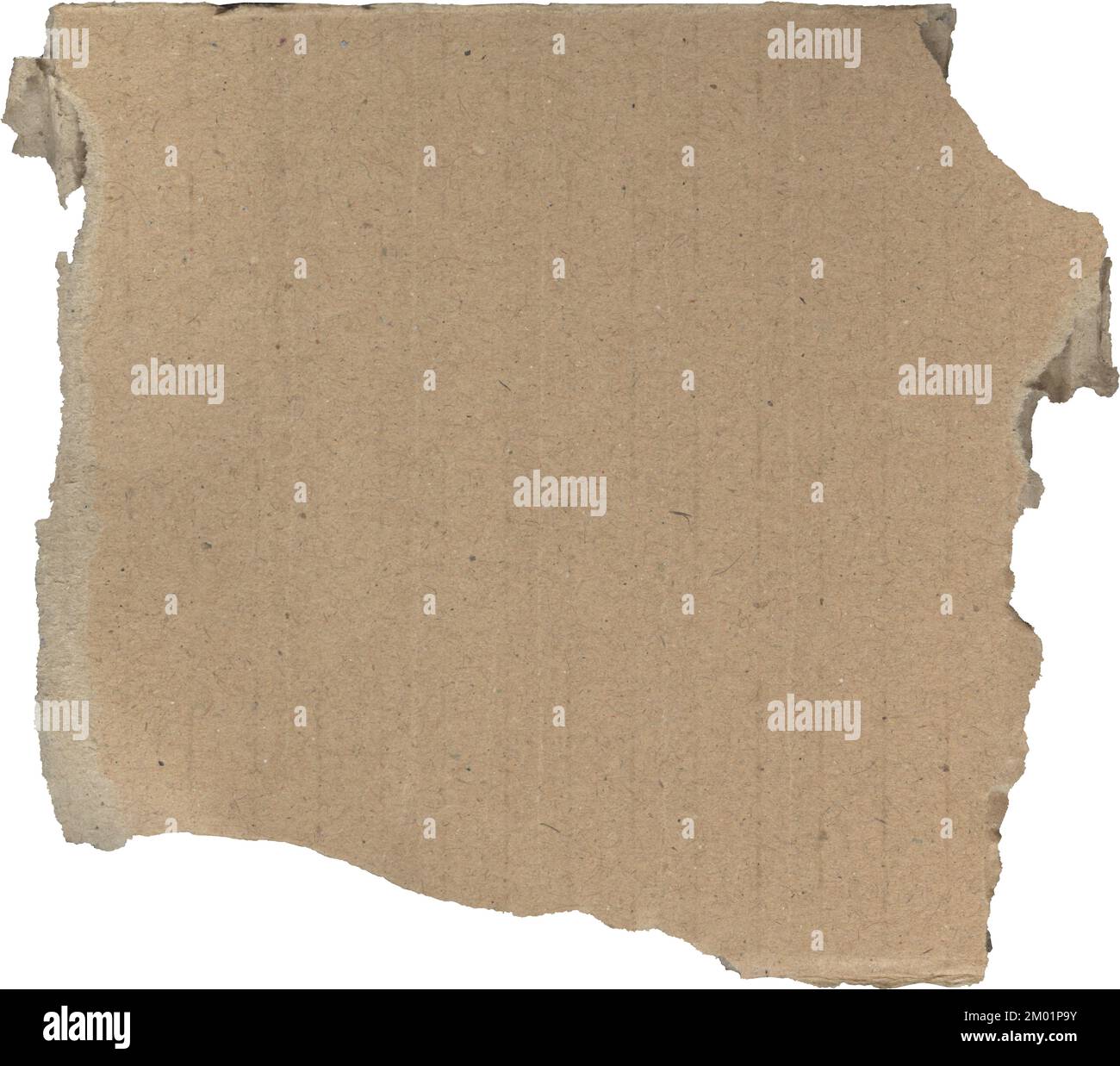 Torn cardboard textures, a piece of cardboard papers Stock Photo - Alamy