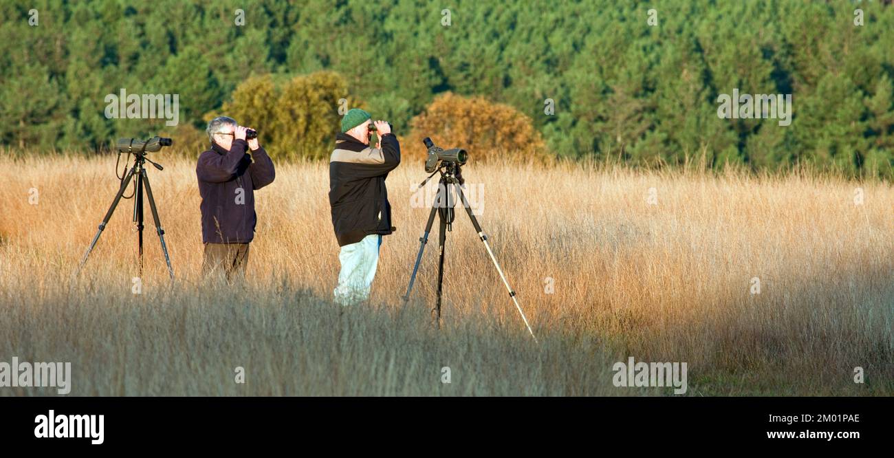 Bird Watchers, Twitchers, in autumn on Cannock Chase Country Park AONB ...