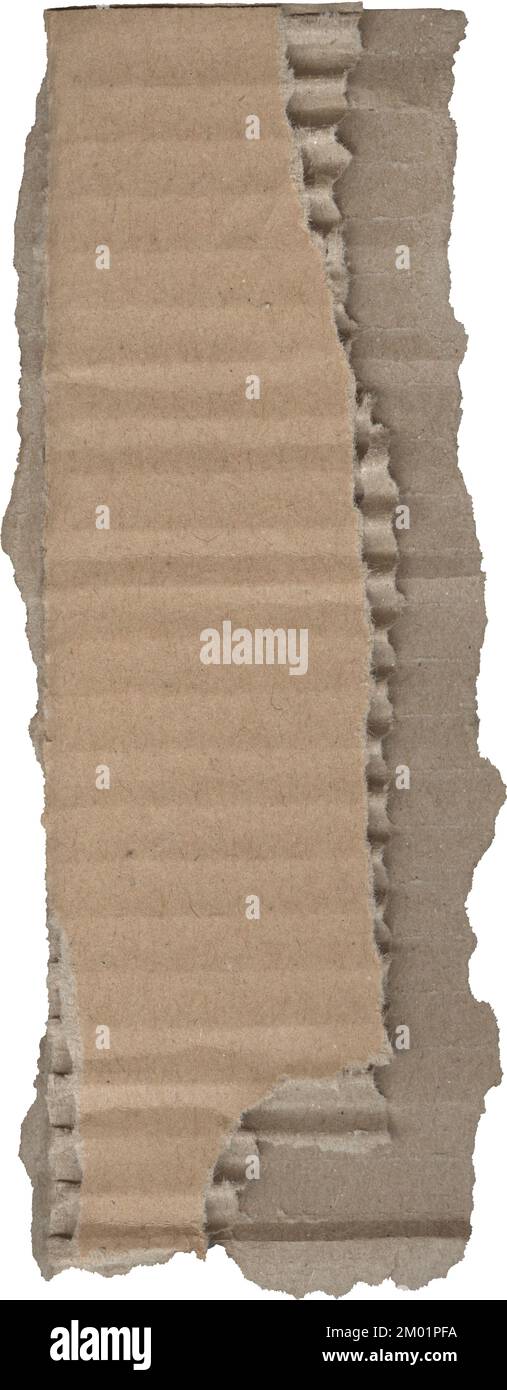 Torn cardboard textures, a piece of cardboard papers Stock Photo - Alamy