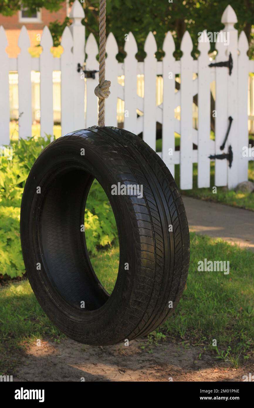 Typical common tire swing hanging from the tree branch Stock Photo - Alamy