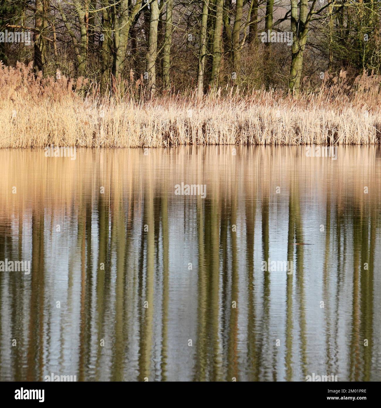 Photograph Shropshire and Worcester canal a British Waterways canal ...