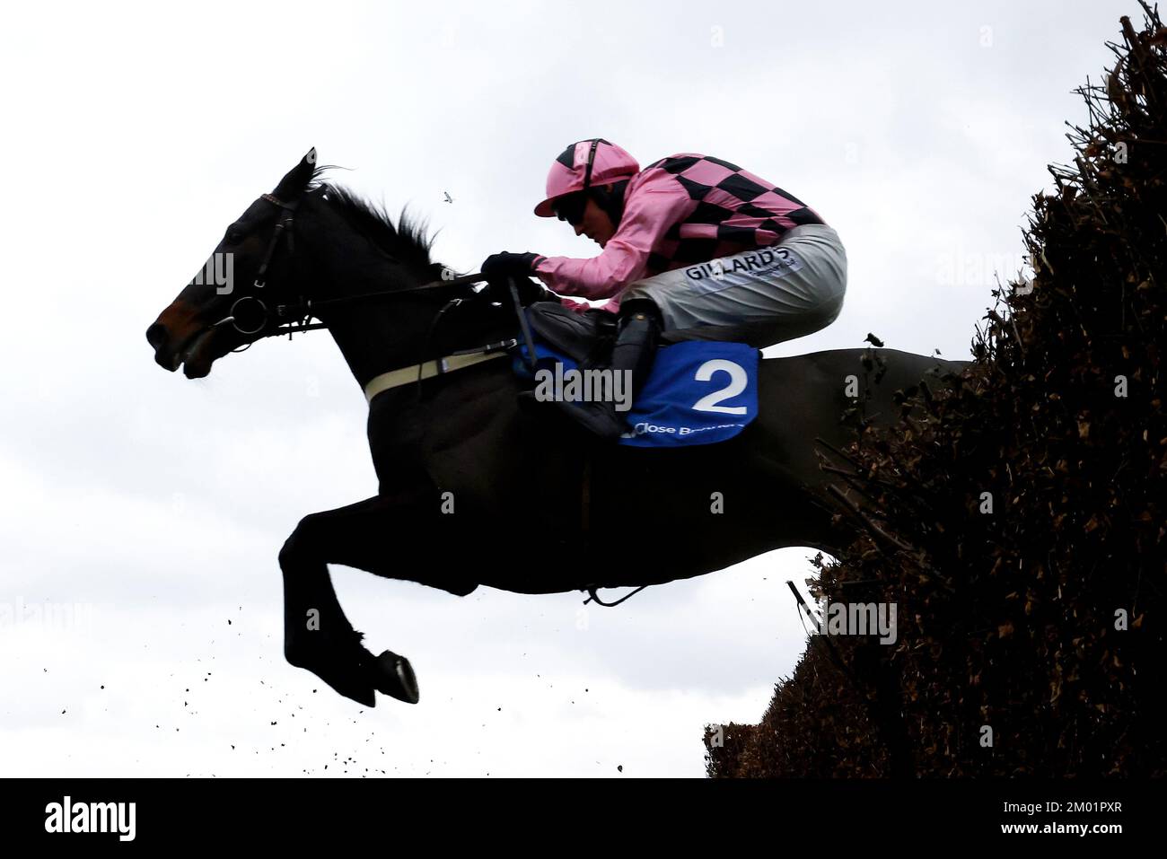 Honneur d'ajonc racecourse hi-res stock photography and images - Alamy