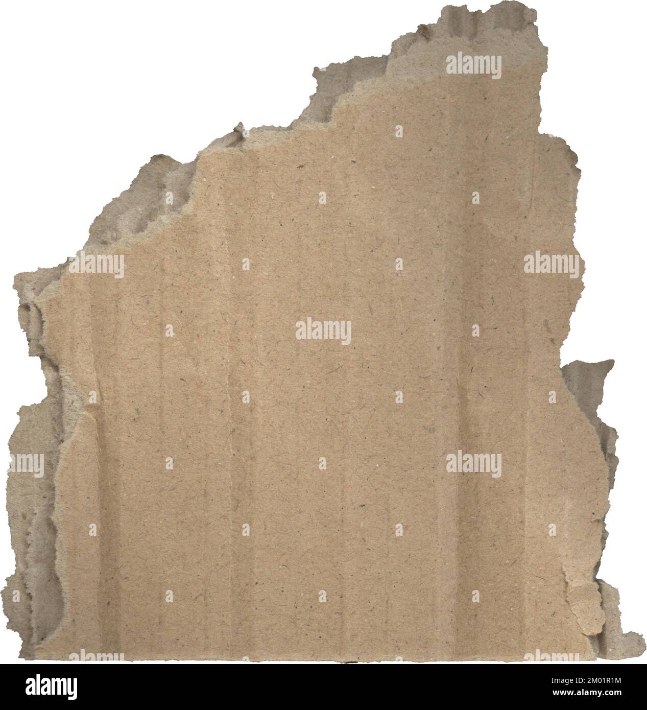 Torn cardboard textures, a piece of cardboard papers Stock Photo - Alamy