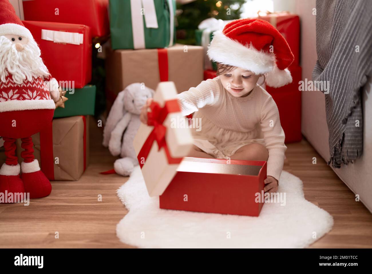 Unpacking unpacking fir tree hi-res stock photography and images - Alamy