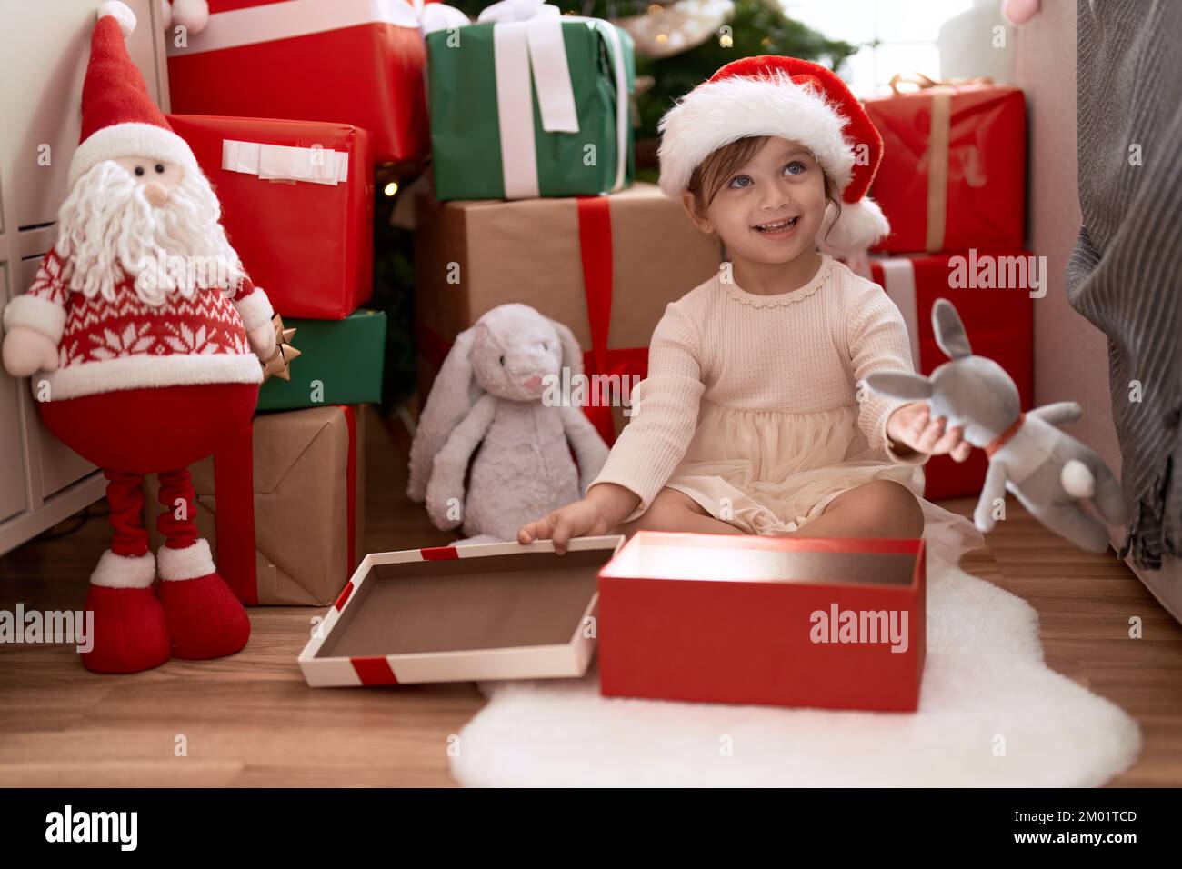 Unpacking unpacking fir tree hi-res stock photography and images - Alamy