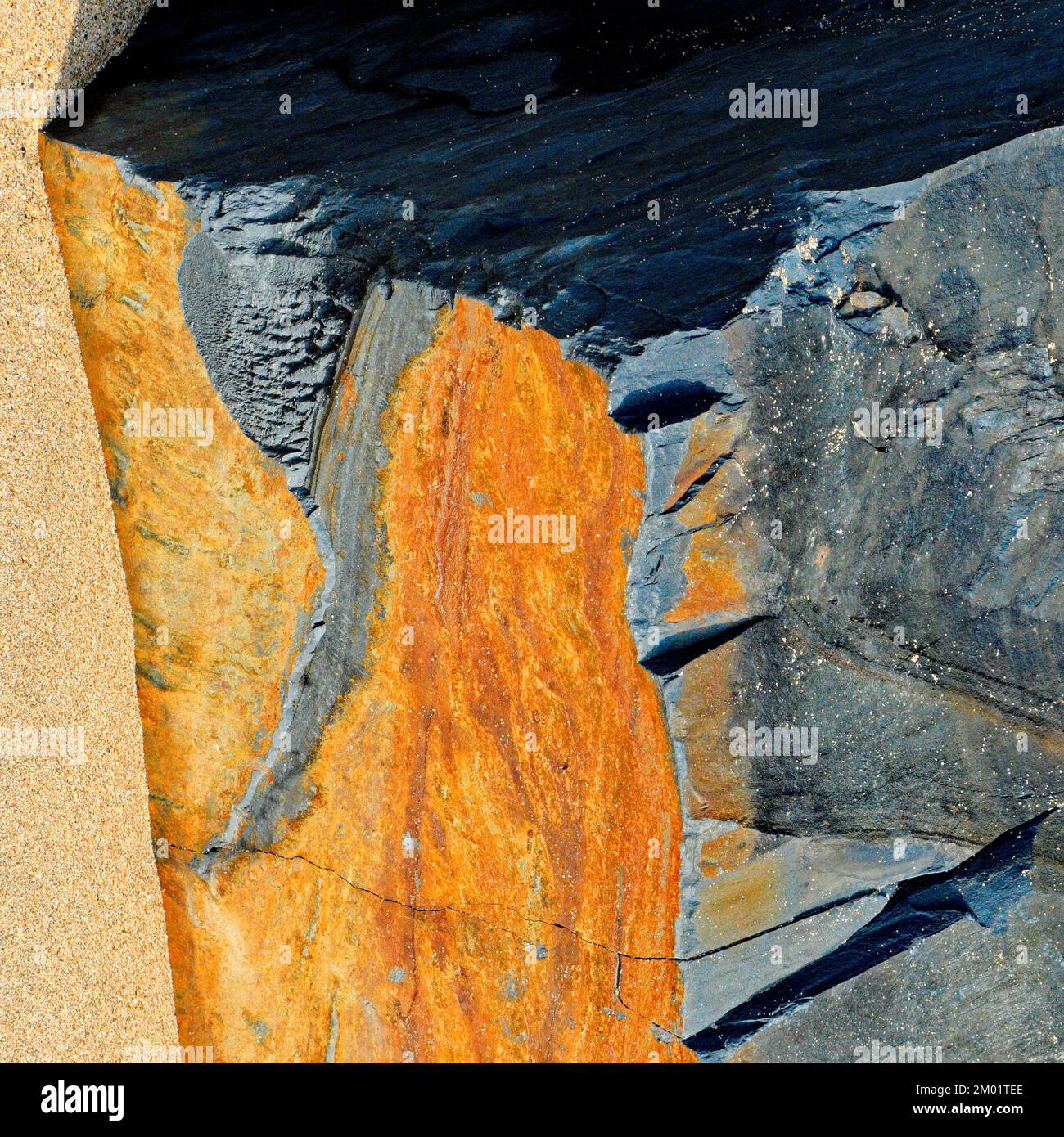 Nature photograph of marine geology, showing random pattern, texture ...