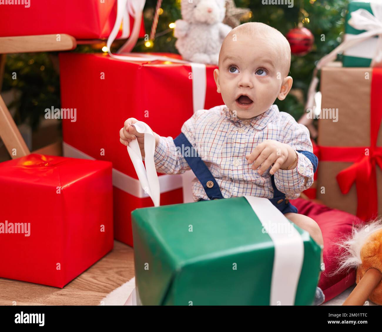 Unpacking unpacking fir tree hi-res stock photography and images - Alamy
