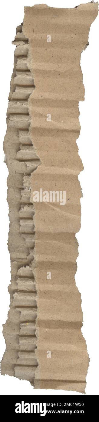 Torn cardboard textures, a piece of cardboard papers Stock Photo - Alamy