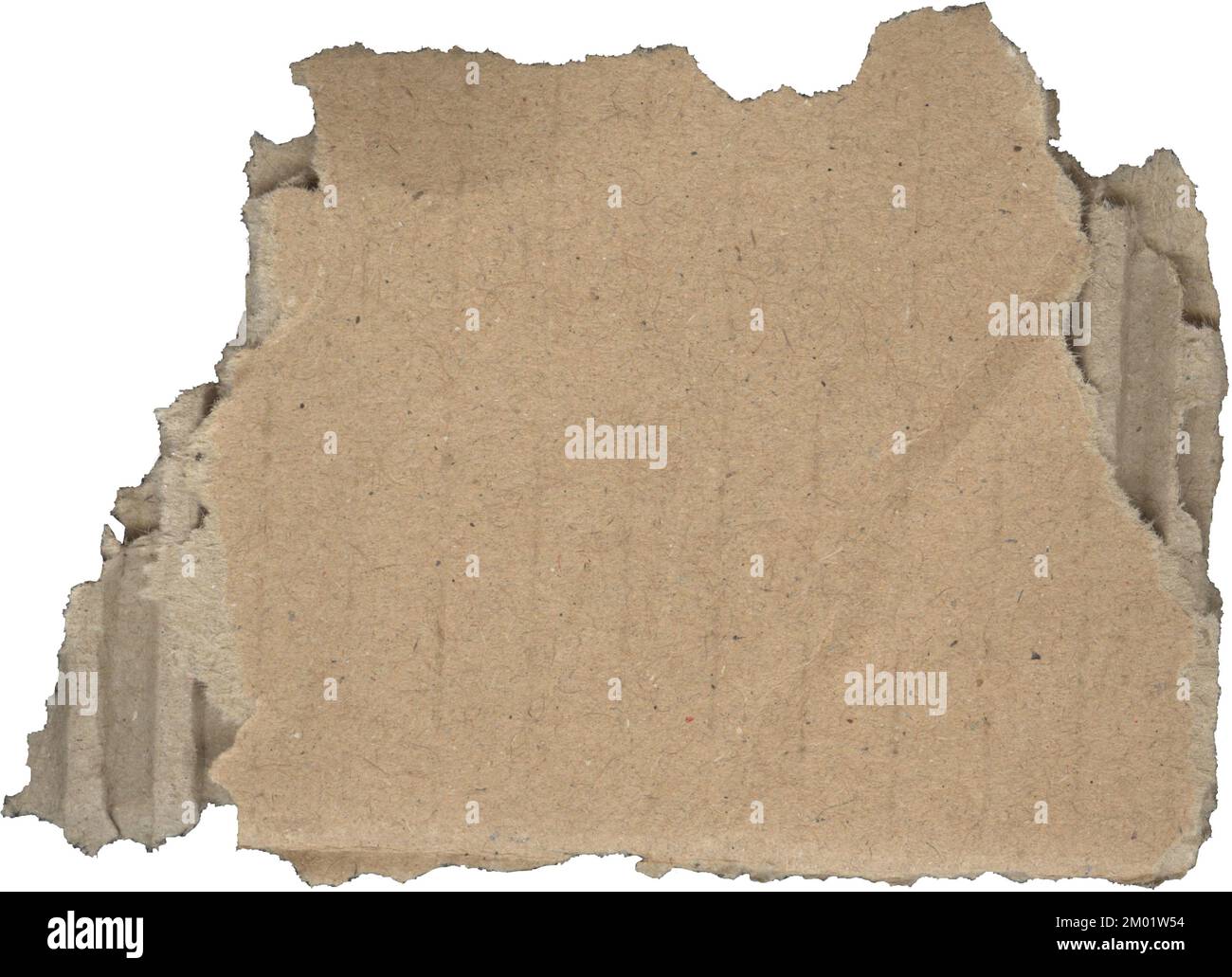 Torn cardboard textures, a piece of cardboard papers Stock Photo - Alamy
