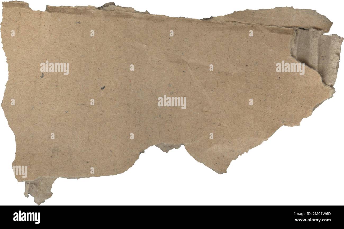Torn cardboard textures, a piece of cardboard papers Stock Photo - Alamy