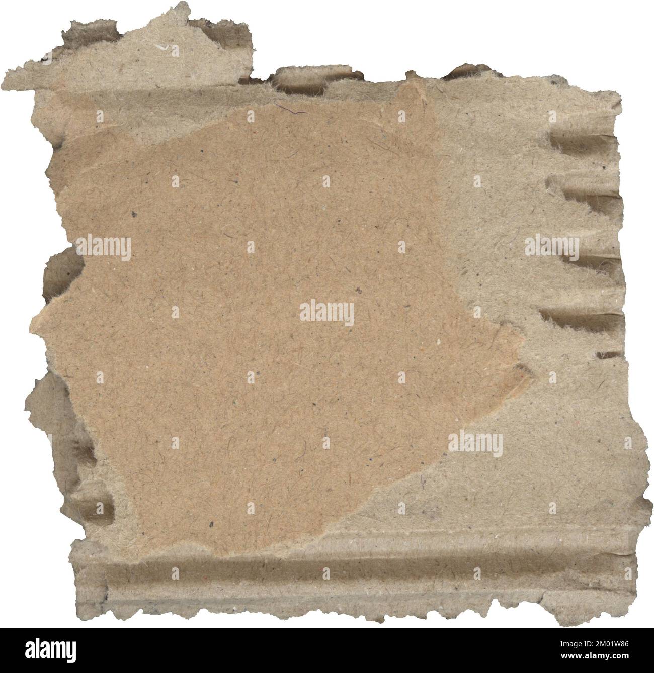 Torn cardboard textures, a piece of cardboard papers Stock Photo - Alamy