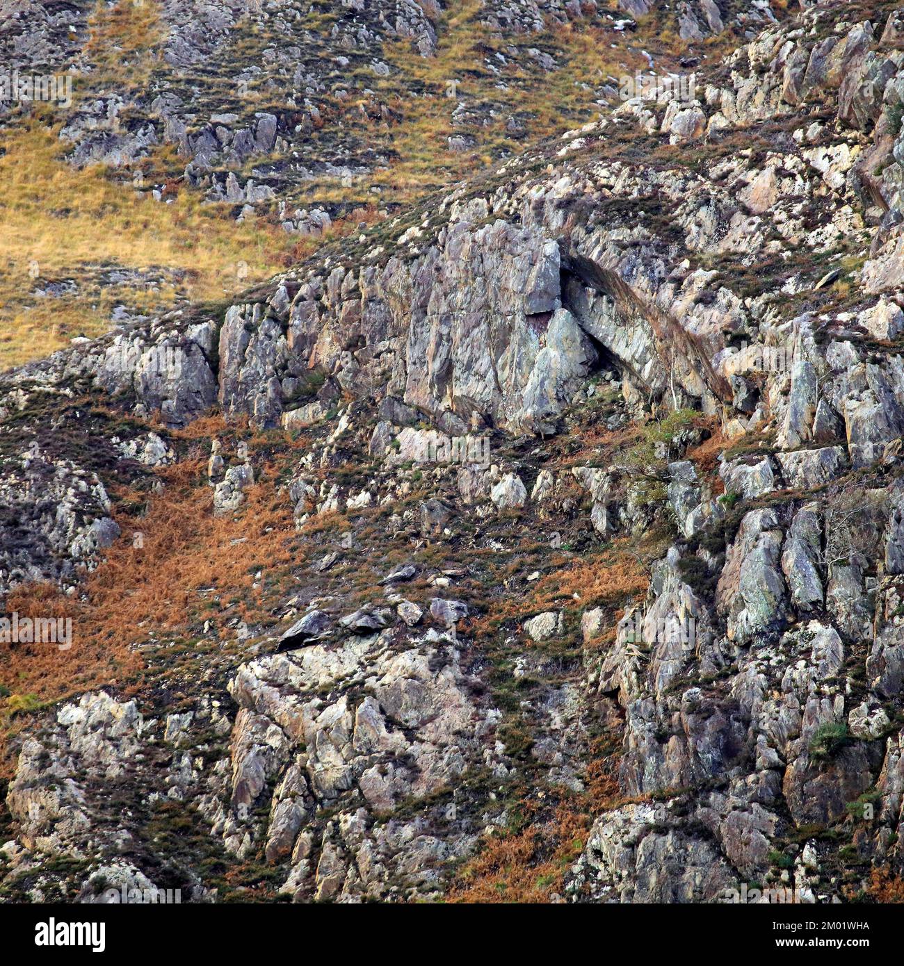 Nature photograph of geology, showing random pattern, texture, shape ...