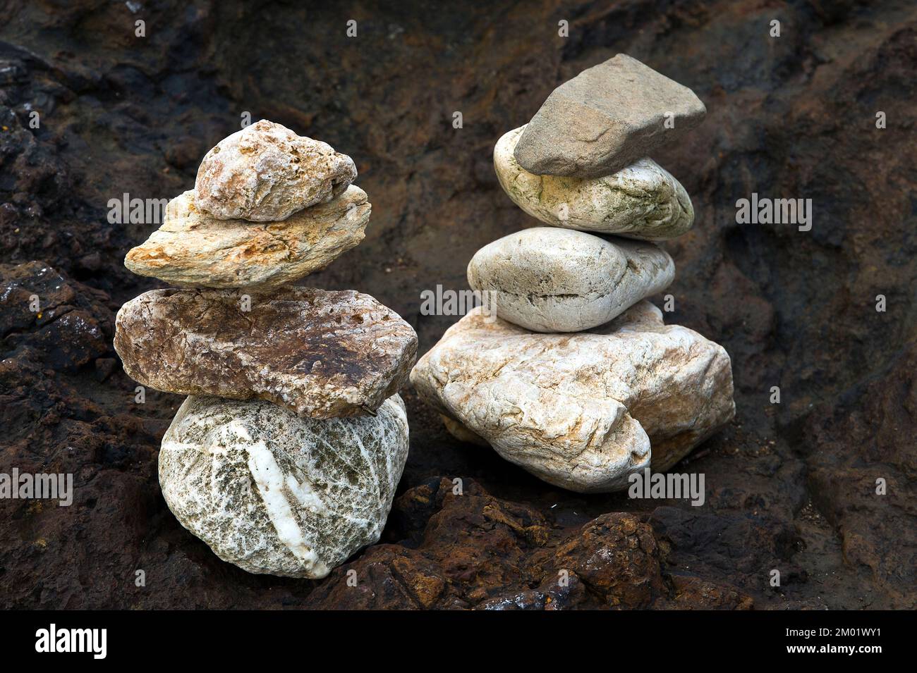 Geology of with interesting rocks at Porth Padrig on the northern coast ...