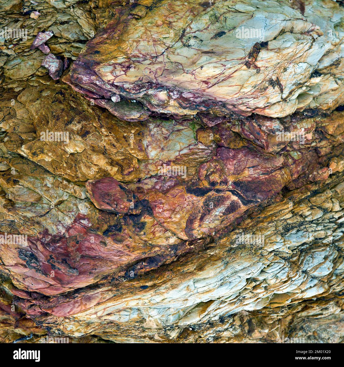 Geology of with interesting rocks at Porth Padrig on the northern coast ...